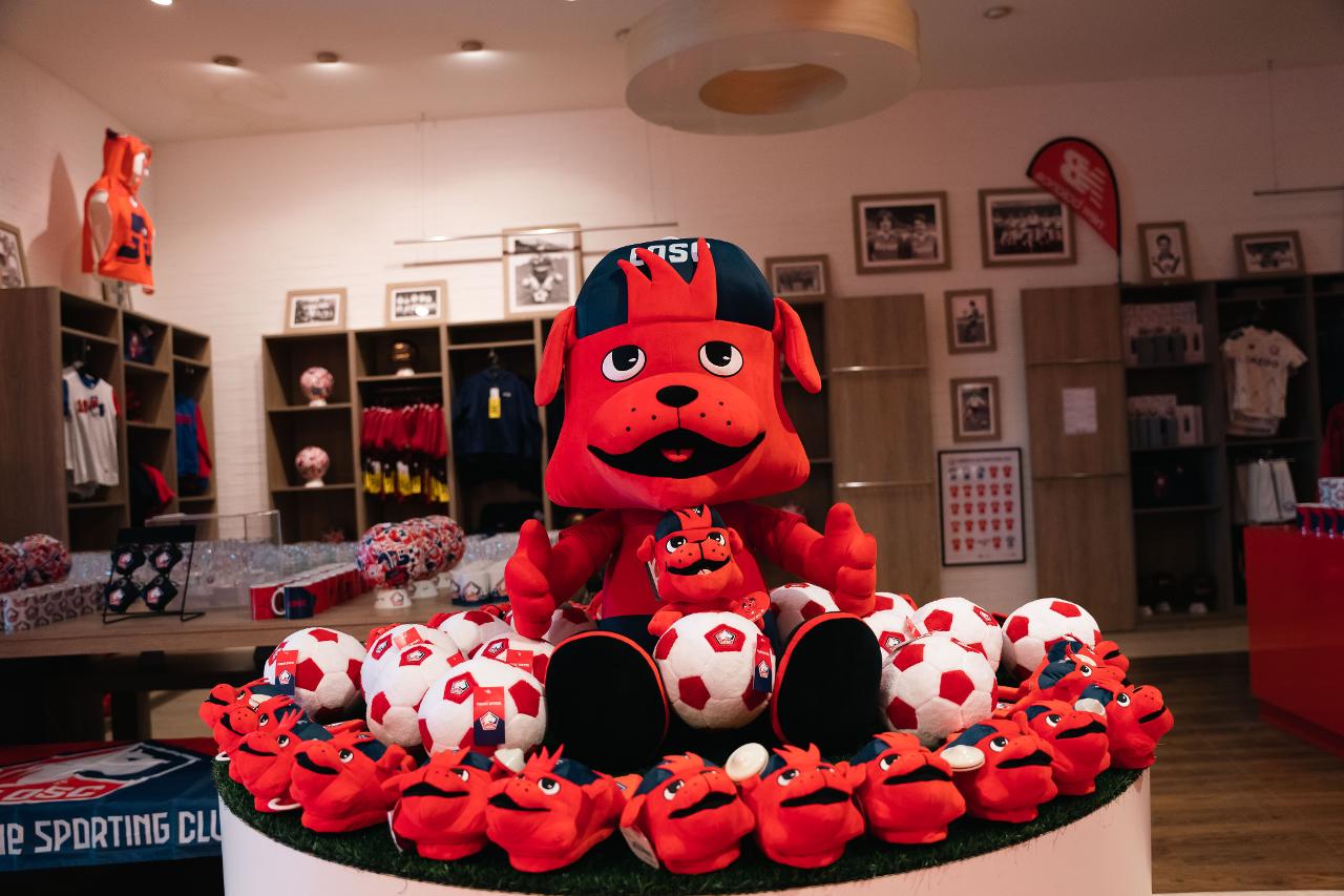 ENTRER DANS LE STADE | LOSC